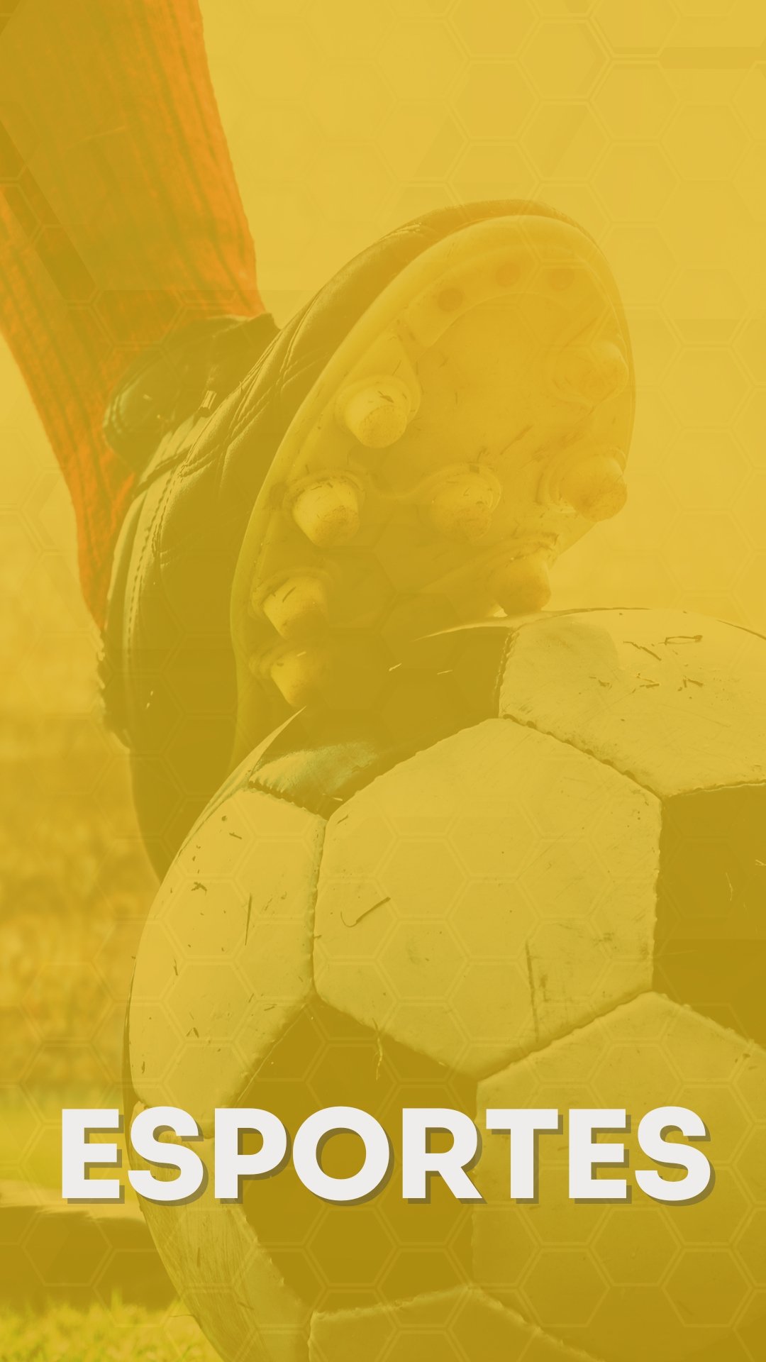 Mega TV Plus – A Melhor Programação do Brasil